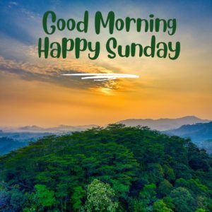 Good Morning Sunday Images, Also Get Best Happy Sunday Good Morning ...