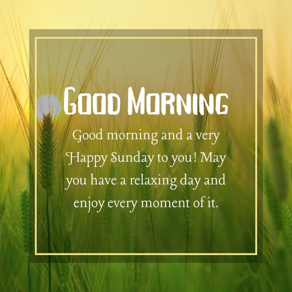 Good Morning Sunday Images, Also Get Best Happy Sunday Good Morning ...