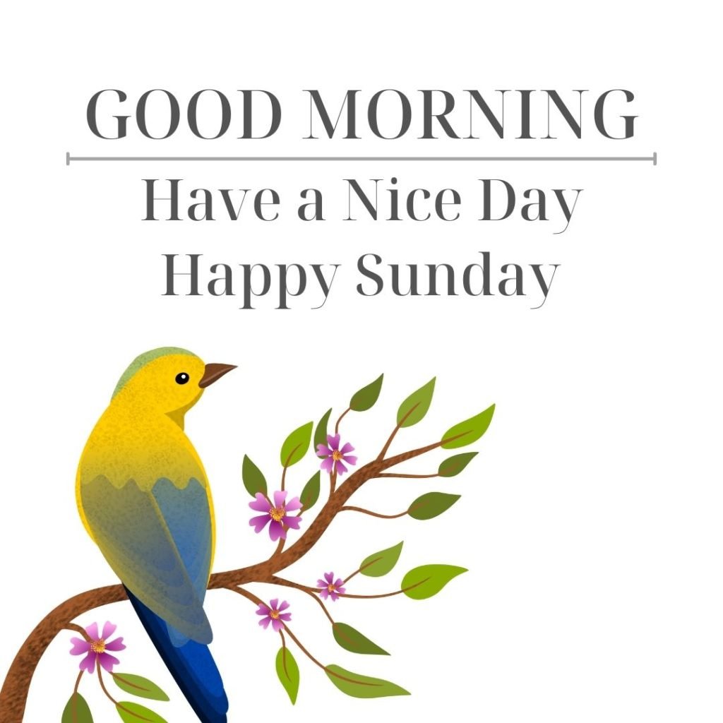 Good Morning Sunday Images, Also Get Best Happy Sunday Good Morning ...