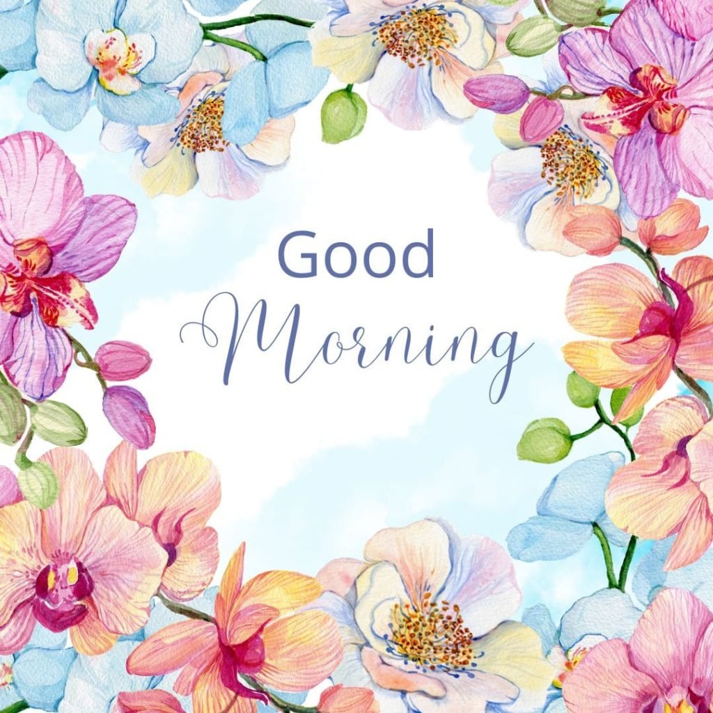 Good Morning Flower Images, Get the Beautiful Collection of Good ...