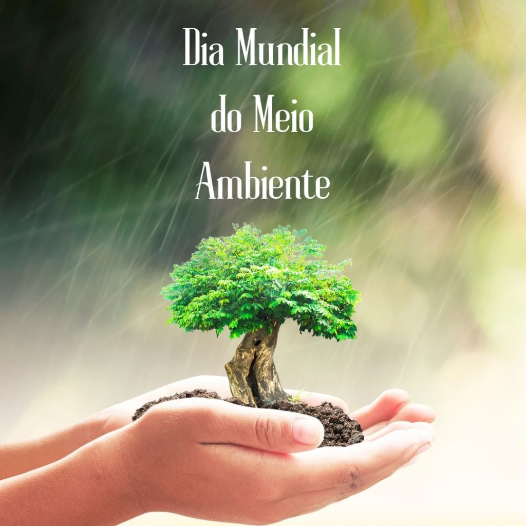 Dia Mundial do Meio Ambiente 2024 Imagens, Frases e Mensagens