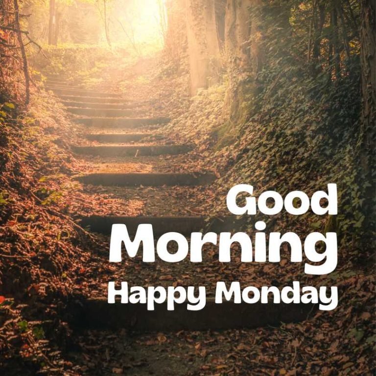 Good Morning Monday Images, Also Get the Latest and Best Happy Monday ...